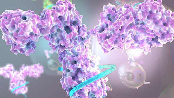 A modular platform for targeted RNAi therapeutics - Dan Peer Lab
