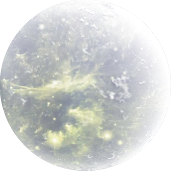 About - Dan Peer Lab