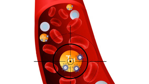 Systemic Gene Silencing in Primary T Lymphocytes Using Targeted Lipid ...