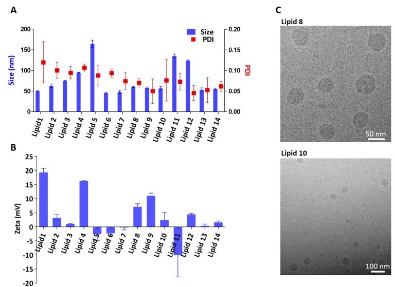 Designing new ionizable lipids for nucleic acids delivery - Dan Peer Lab