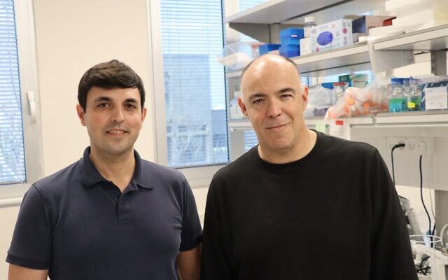 Israeli Scientists Produce World’s First mRNA Vaccine for Bacteria ...
